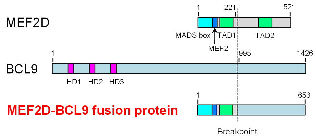What we do – 名古屋市立大学大学院医学研究科 ウイルス学分野